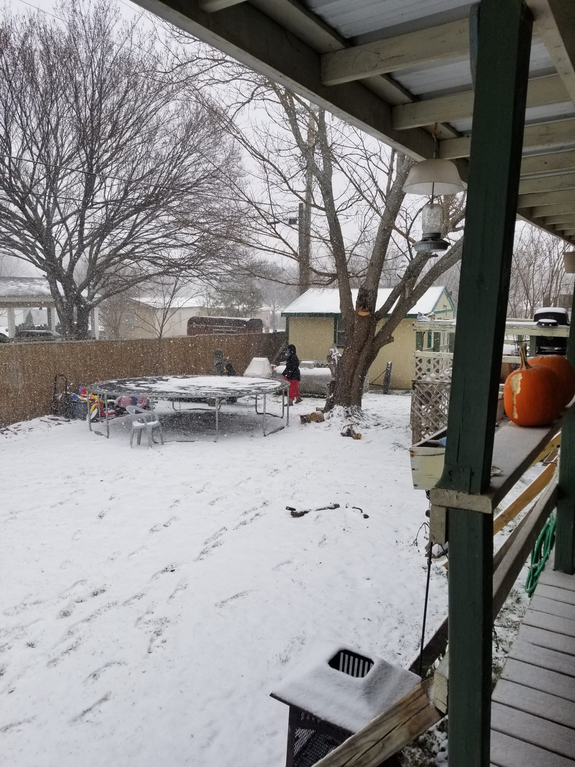 Winter to Remember - Snowmageddon 2021 | By Lisa Bell
